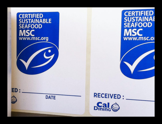 Alaska fisheries on track to regain MSC certification