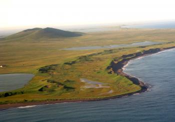 The mammoth mystery of St. Paul Island
