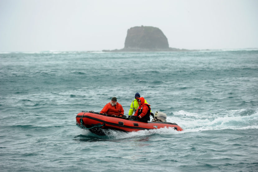 Buldir Island a ‘life changer’ for seabird researchers
