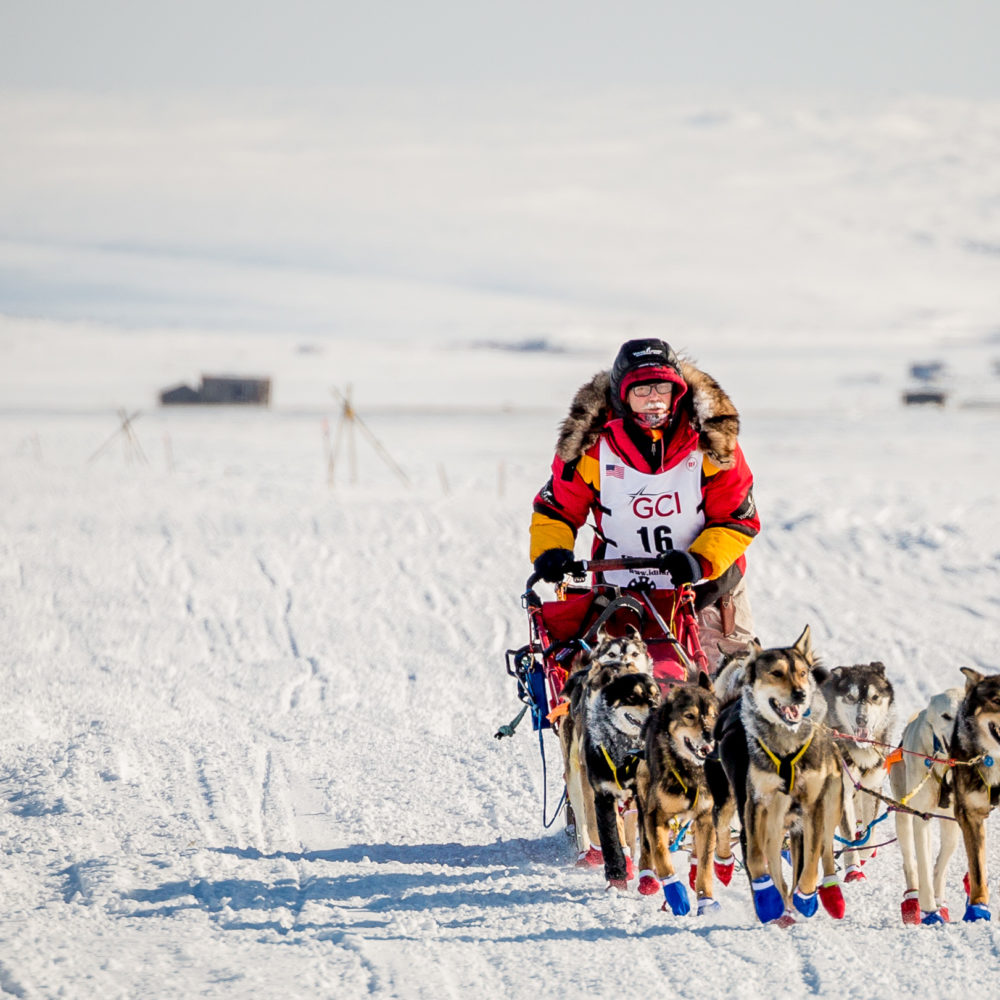 Mitch Seavey wins the 2017 Iditarod in record time