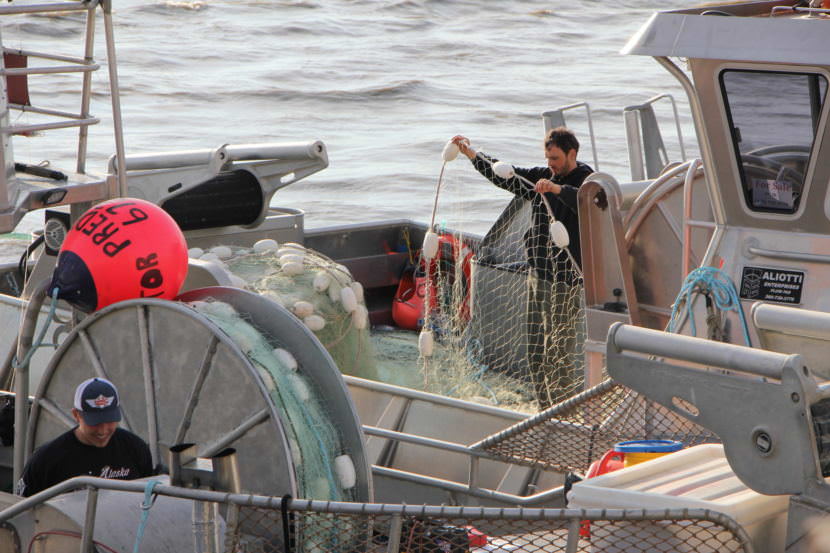 The Egegik fishery employs thousands, but very few live in it's city