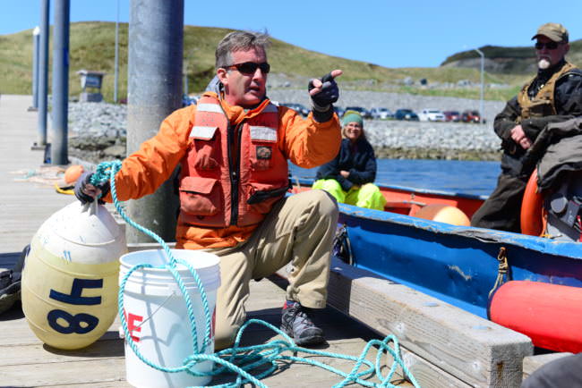 Teaching the next crop of whale entanglement responders