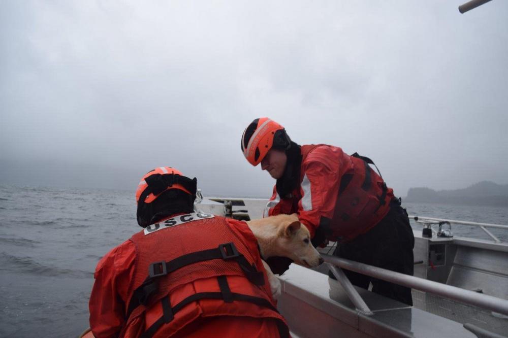 Two boaters and three dogs rescued in Prince William Sound