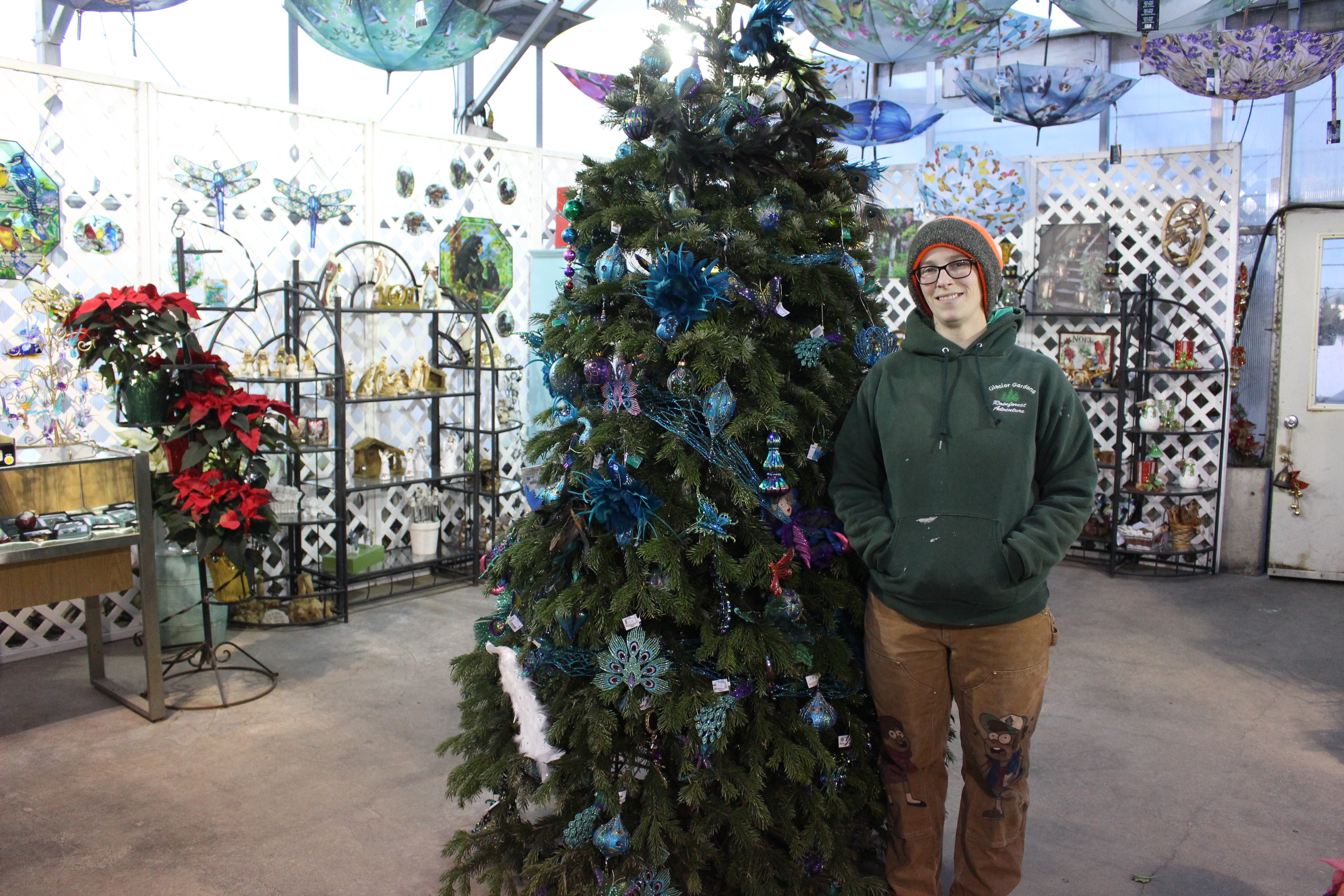 Alaska Christmas trees: backyard charm or out-of-state beauty?