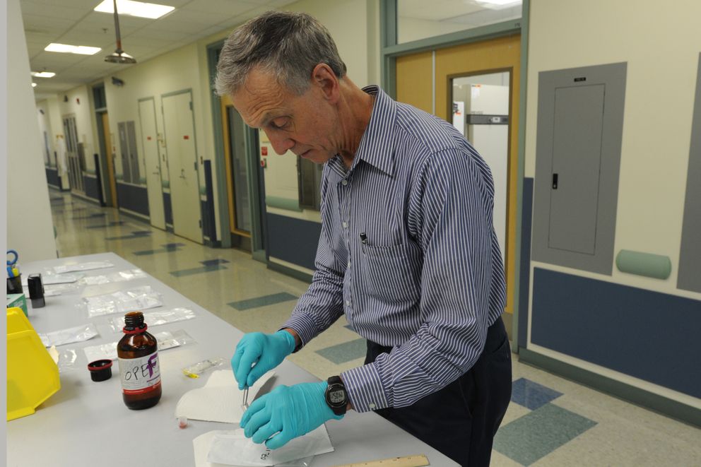 More ticks reported in Alaska each year as researchers investigate