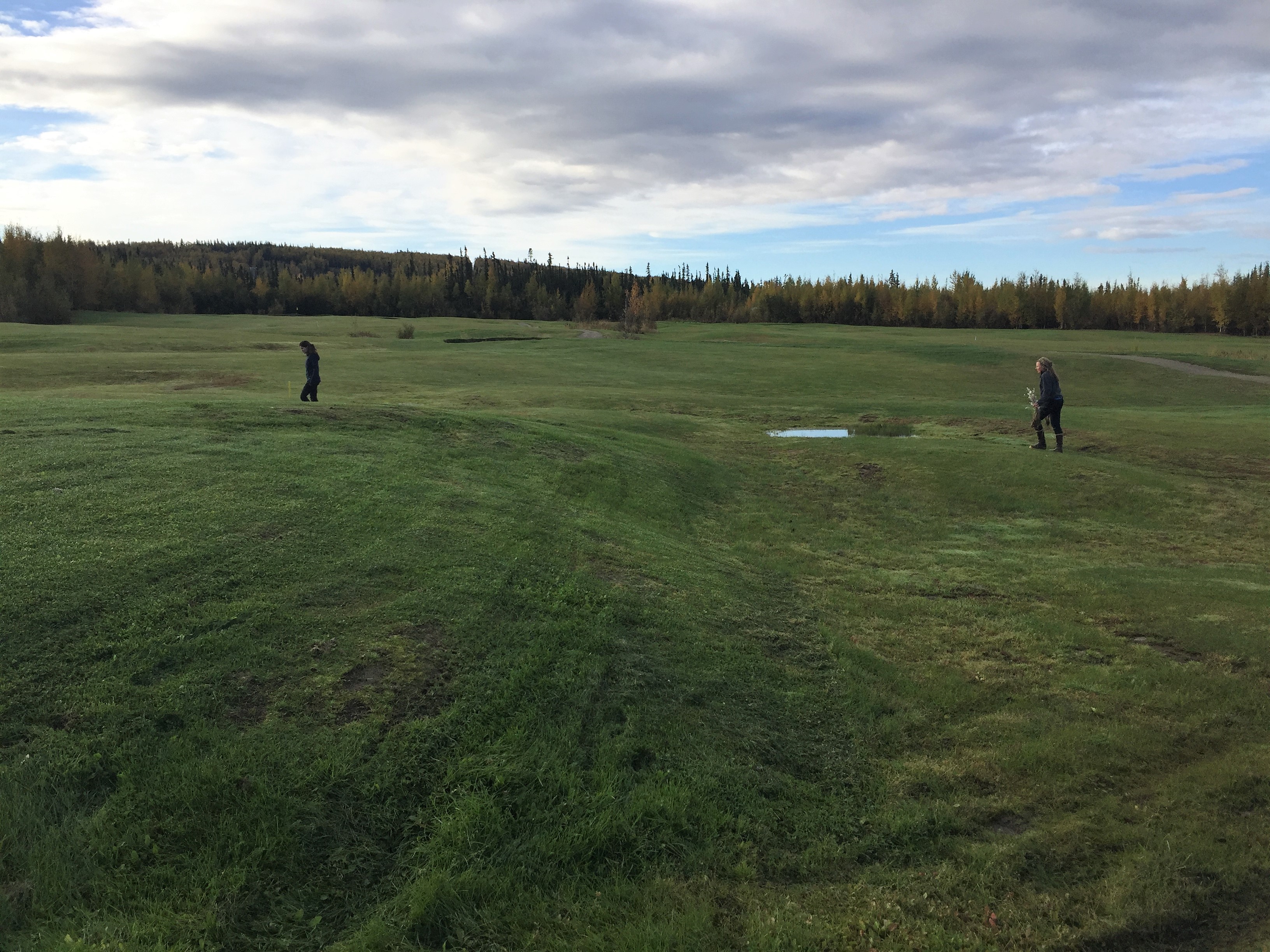 For methane researcher, golf course bubbles are a first