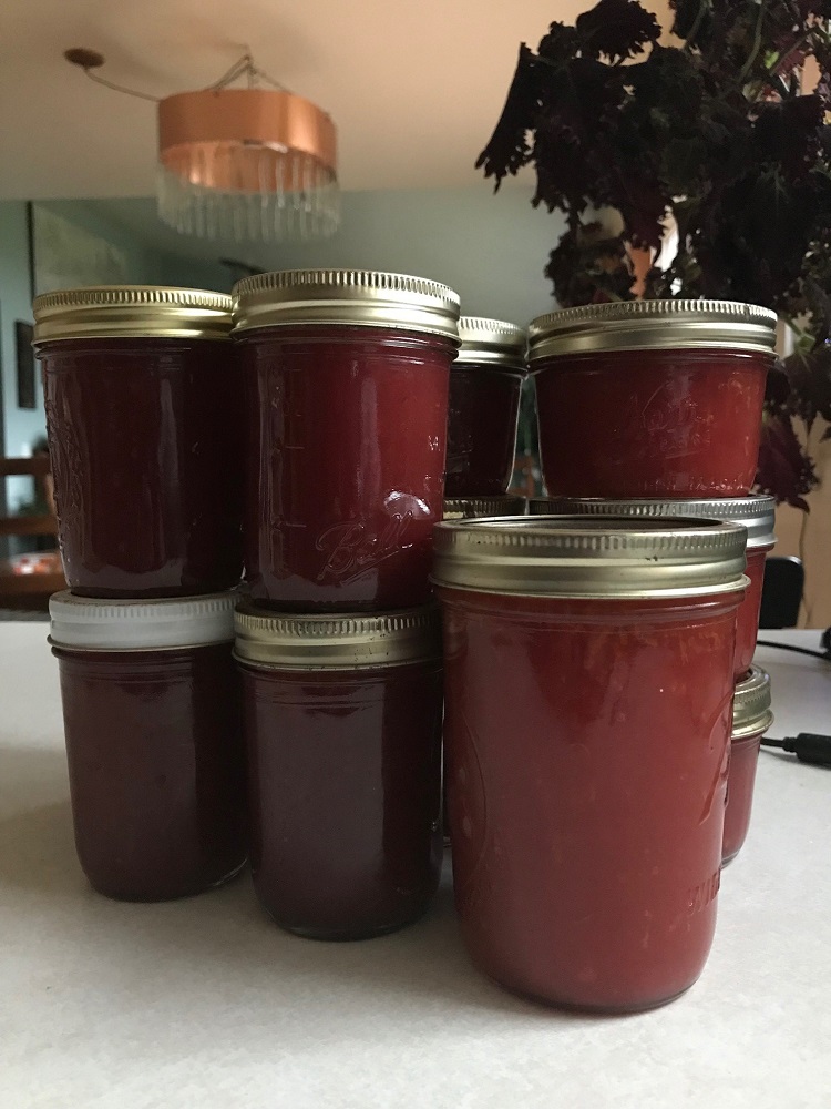 “A Normal Life” and highbush cranberry ketchup