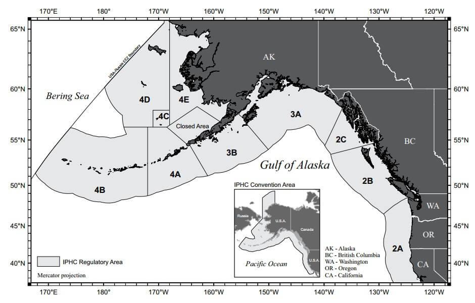 Regulations could be coming for rental boats used for fishing