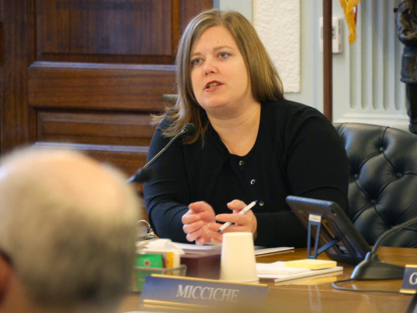 Pebble CEO emphasizes mining project's changes at legislative meeting