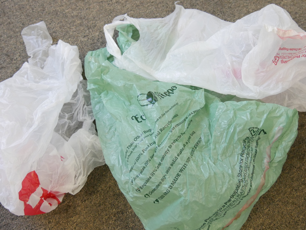 Legislature considers plastic bag ban