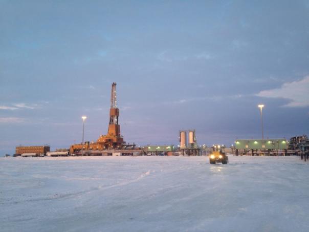 Pikka field Archives - KTOO