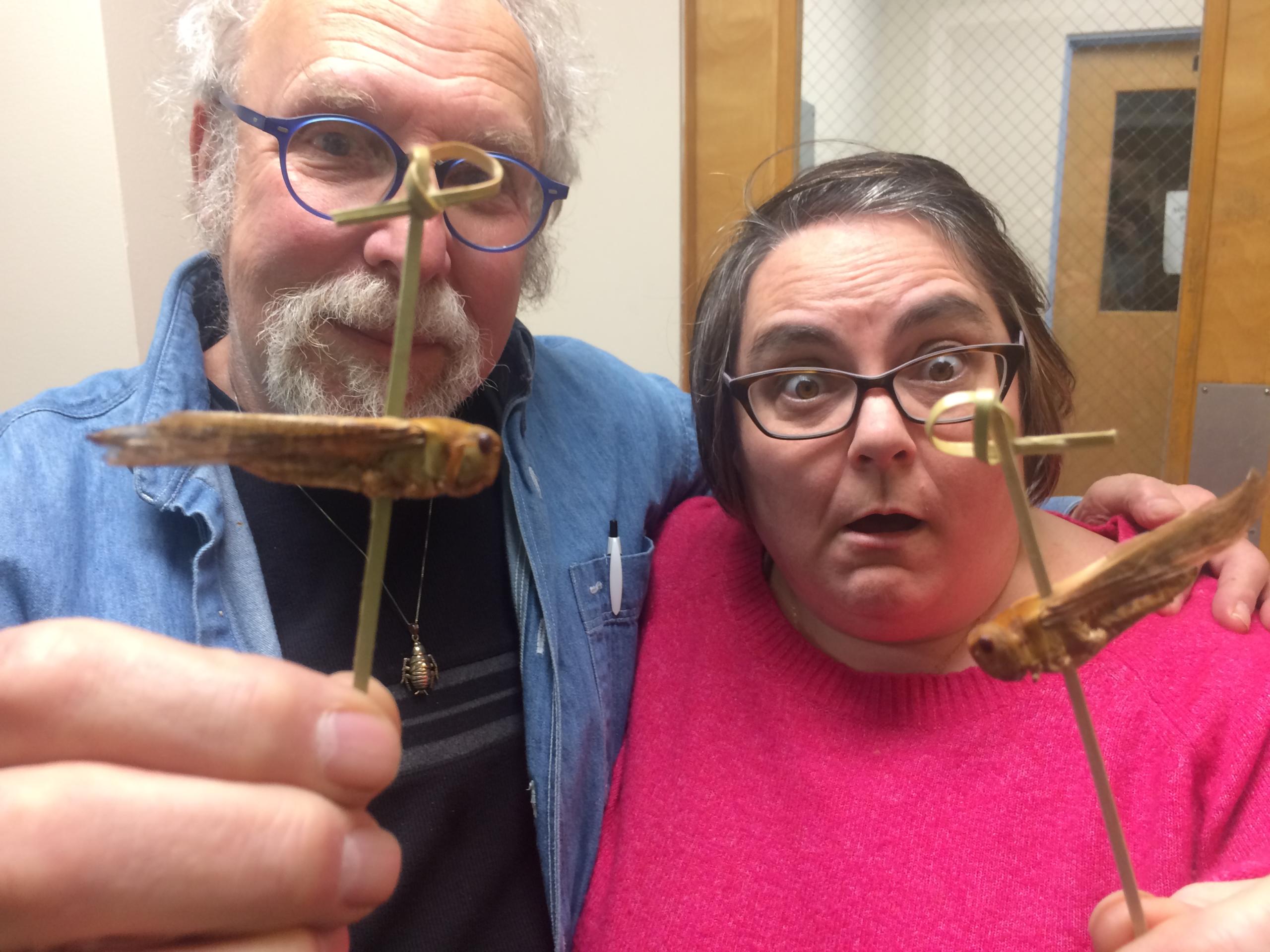 Friday: Andy Kline eats bugs on the air