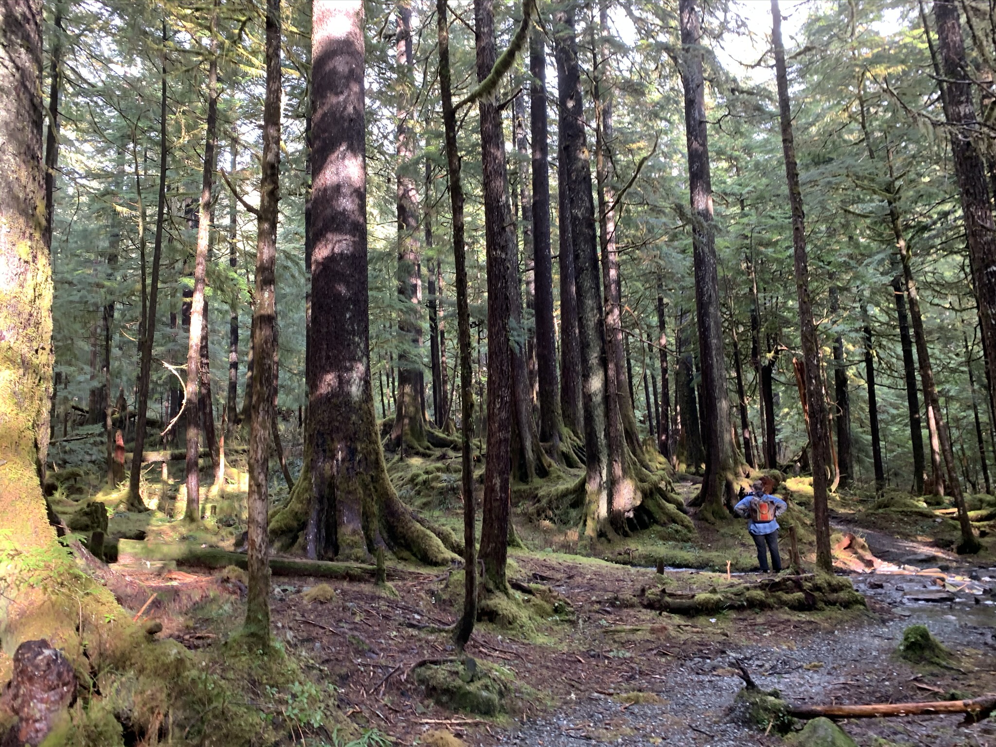 As tourism grows in Ketchikan, some wonder if a few wild places can ...