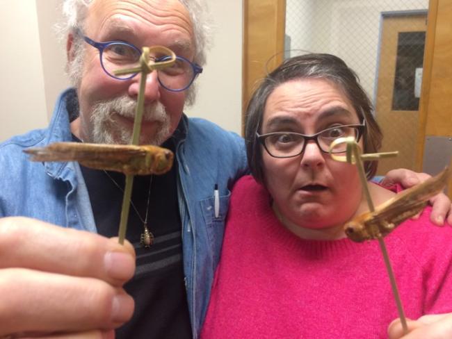 Juneau film buff Collette Costa: 7 movies to watch at home