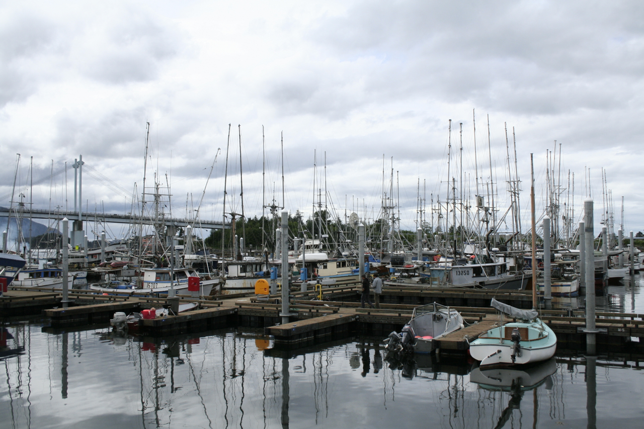 NOAA Fisheries: Alaska chinook harvest not to blame for killer whale ...