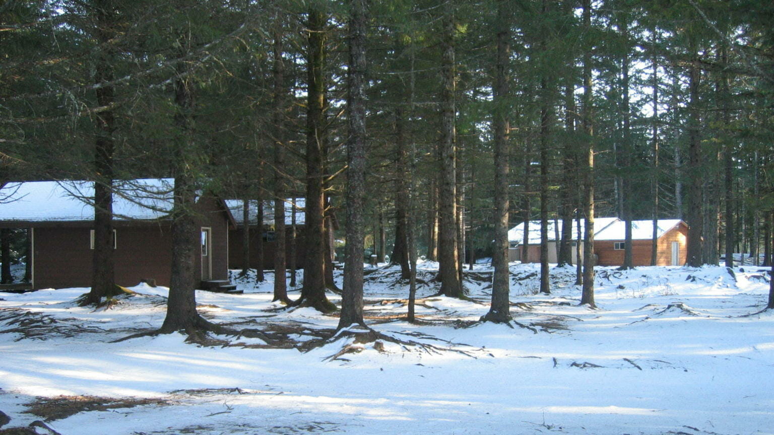 Two campers tested for COVID-19 at Juneau summer camp, prompting ...