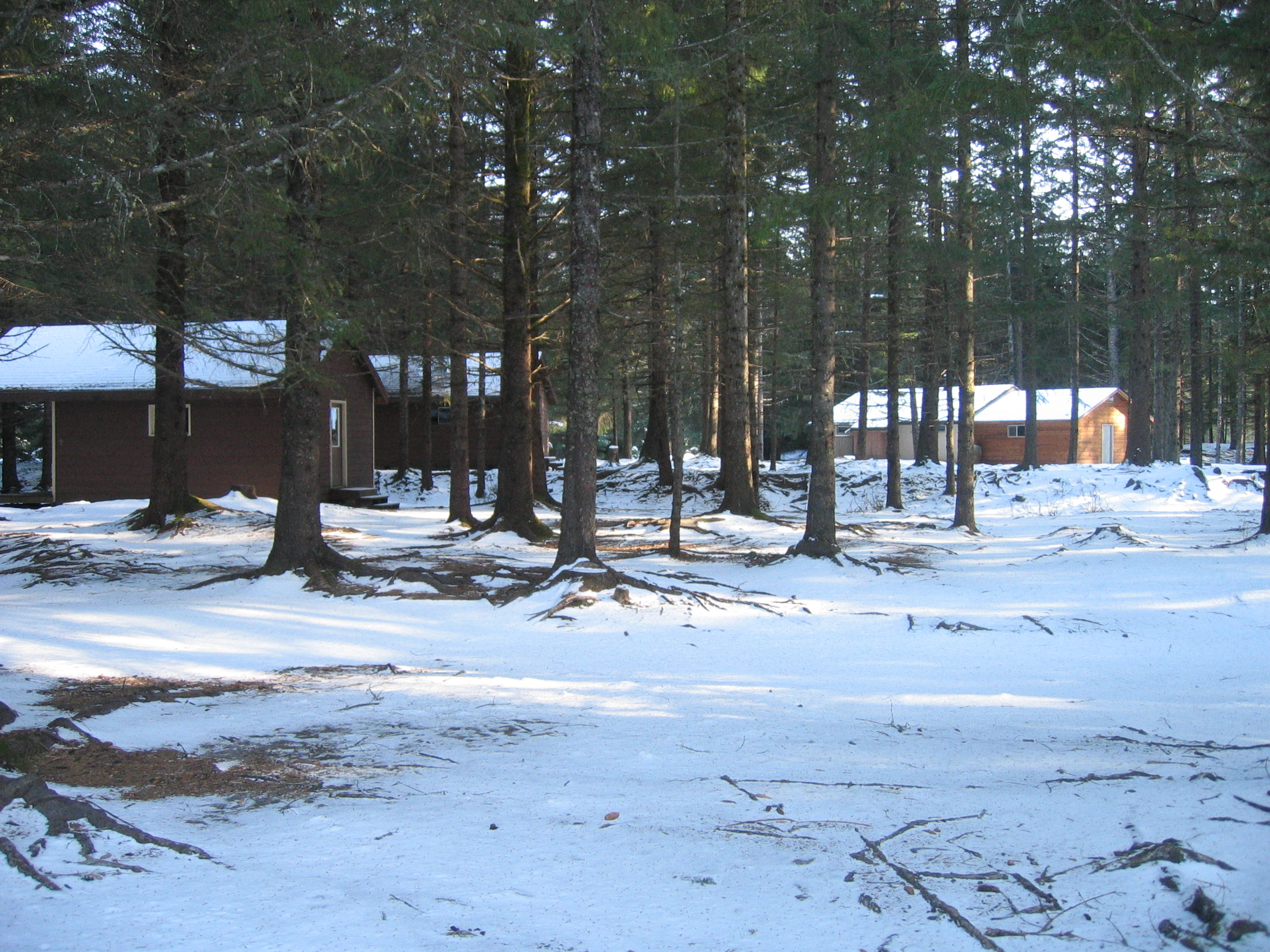 Two campers tested for COVID-19 at Juneau summer camp, prompting ...