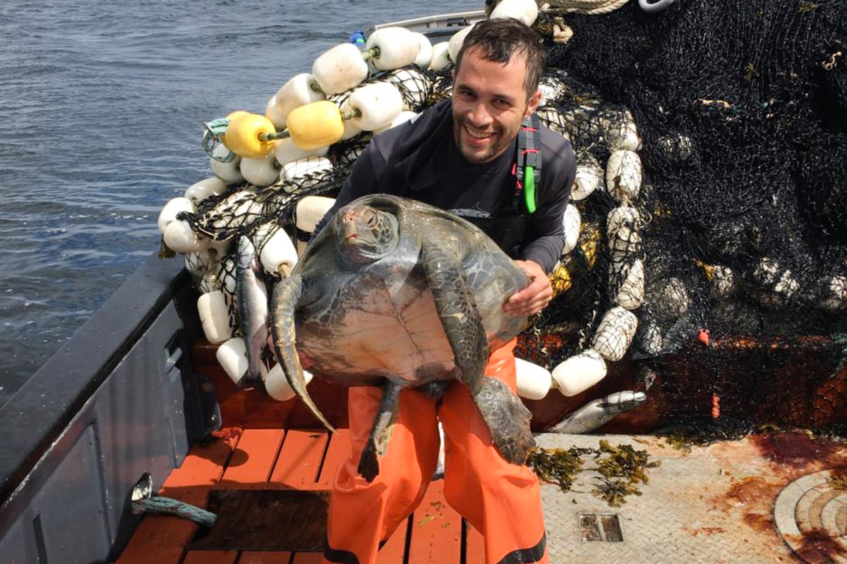 Seiners encounter endangered turtle off Prince of Wales Island