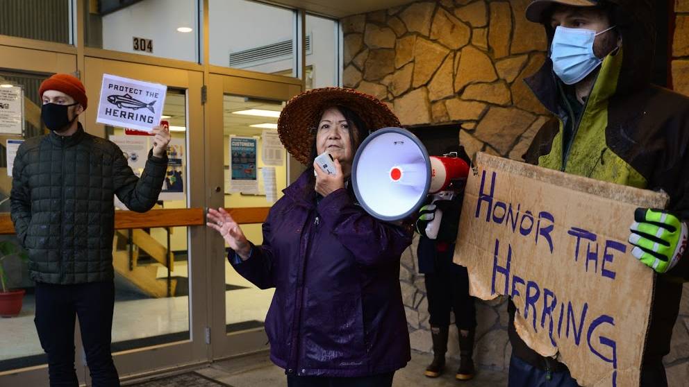 ‘Herring Protectors’ gather at Sitka’s courthouse as commercial fishery ...