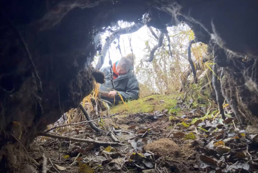 Bear researcher shares tips for identifying and avoiding winter bear dens