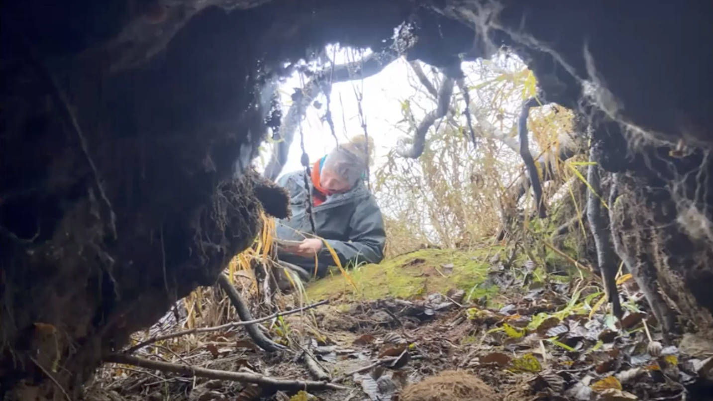 Bear researcher shares tips for identifying and avoiding winter bear dens