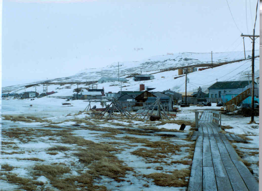 18-year-old killed in goose hunting accident in Western Alaska