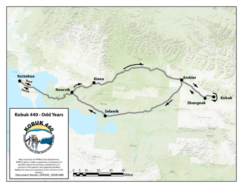 A dozen mushers brave wind, snow and whiteout conditions as the Kobuk ...