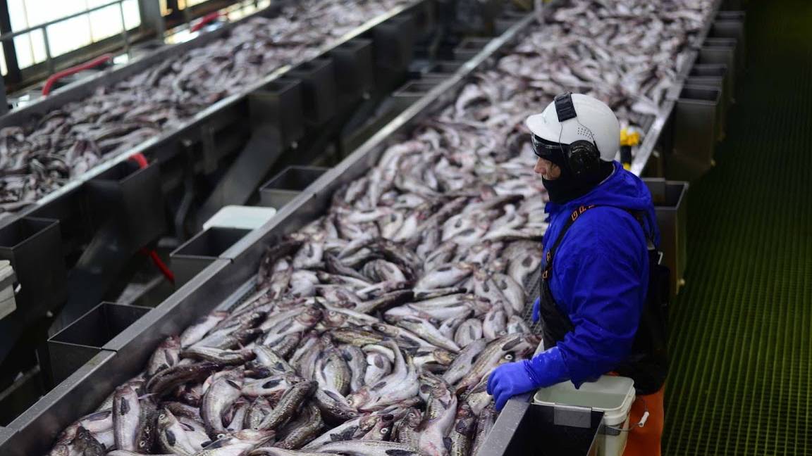 Dutch Harbor named nation's top fishing port for 23rd consecutive year