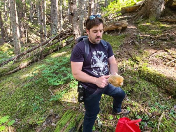 Haines chef shares mushroom harvesting tips