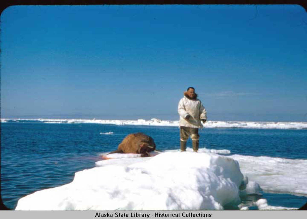 Can Indigenous subsistence rights still be protected in Alaska?