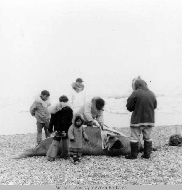 Can Indigenous subsistence rights still be protected in Alaska?