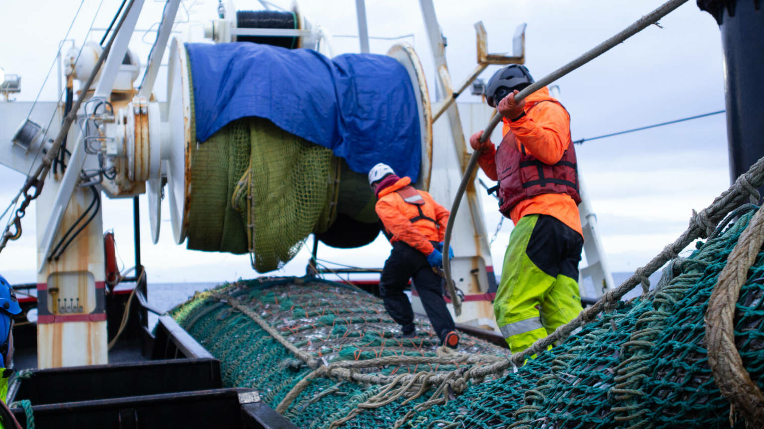 Dunleavy administration announces formation of bycatch task force
