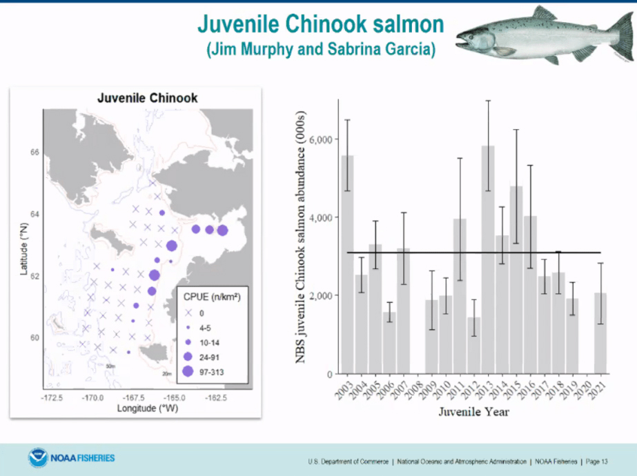 Bering Sea survey finds Yukon River chinook populations are low and ...