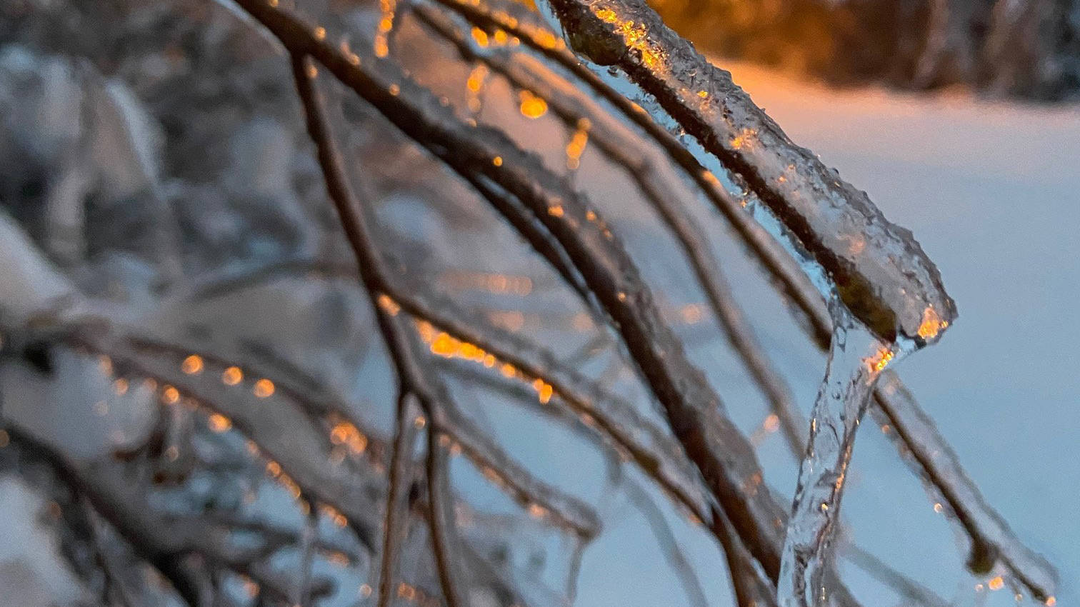 Alaska’s weekend Christmas storm was one for the record books