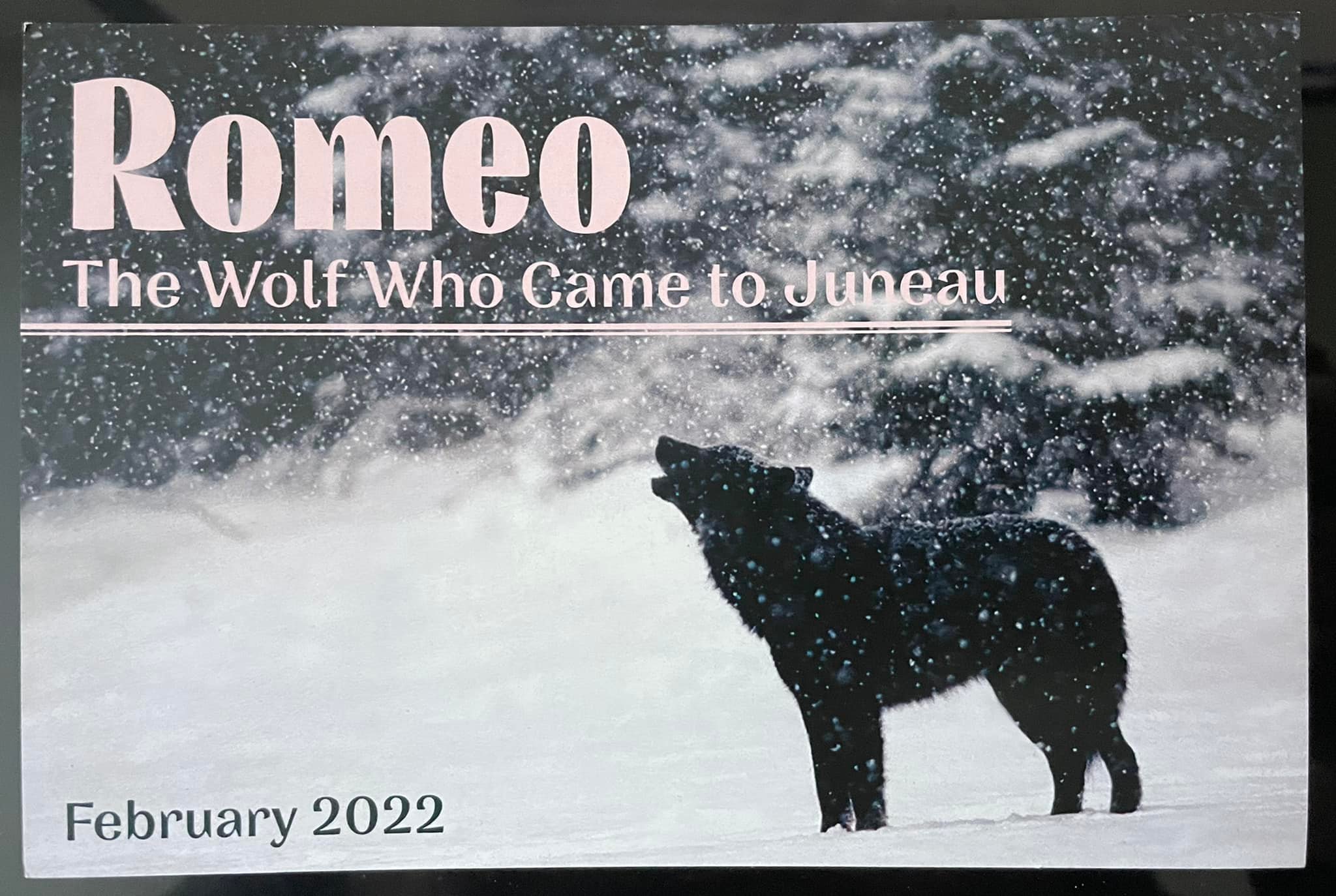 Friday, January 21st: A month of tributes to Romeo, the wolf. Annette ...