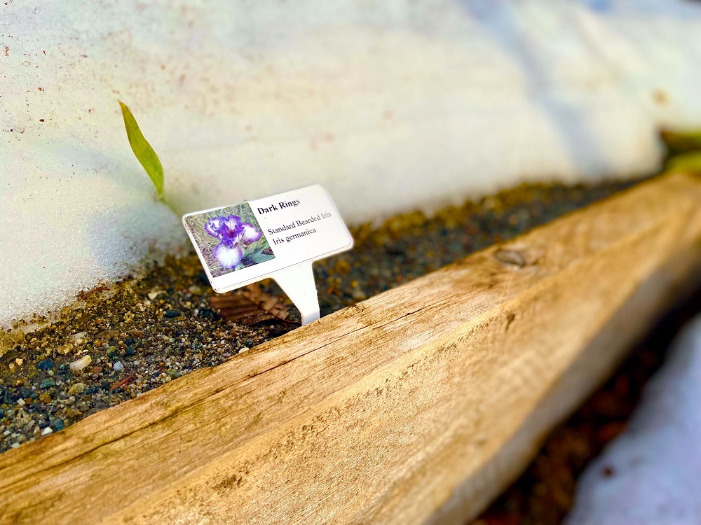 Garden Talk: March 9, 2022