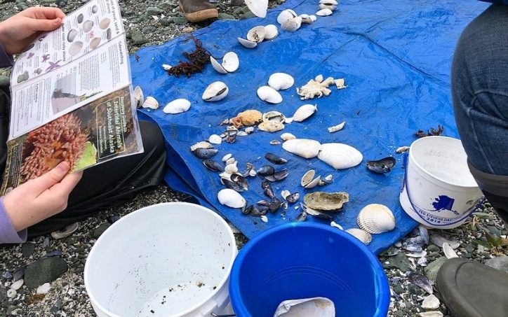 Juneau Afternoon - KTOO