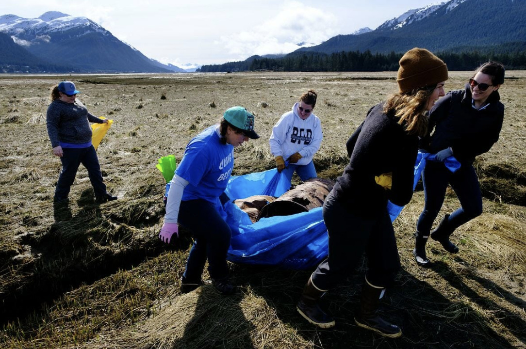 Vanderbilt Creek wetlands clean-up. Jensen-Olson Arboretum Family Beach ...