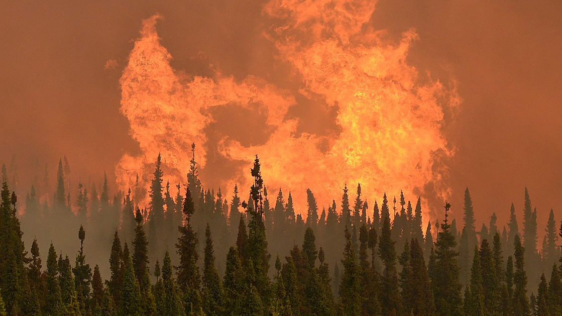 For Alaska wildland fire crews, cutting firebreaks serves as training ...
