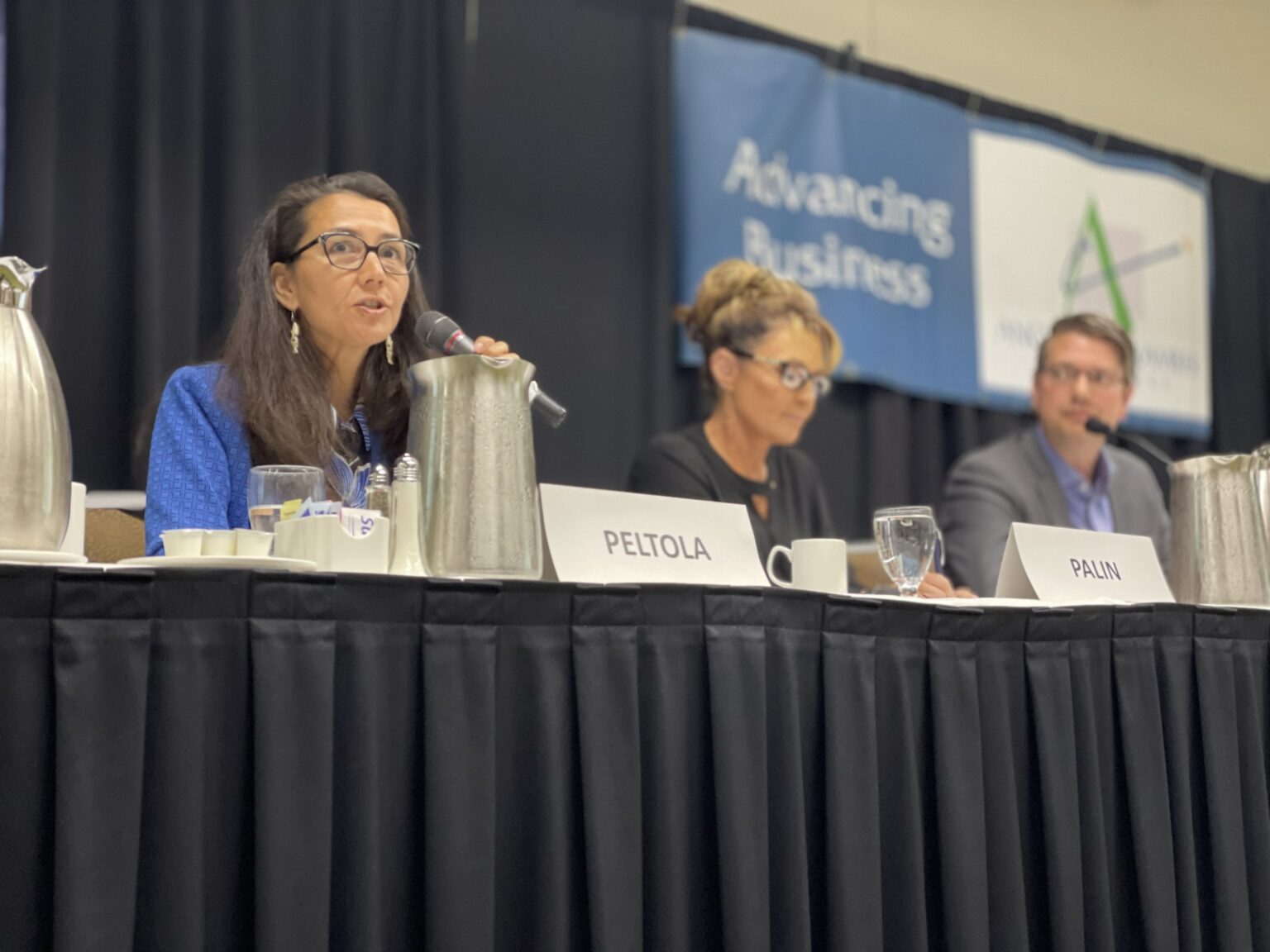 To US House candidates Begich and Palin, abortion is a state issue ...