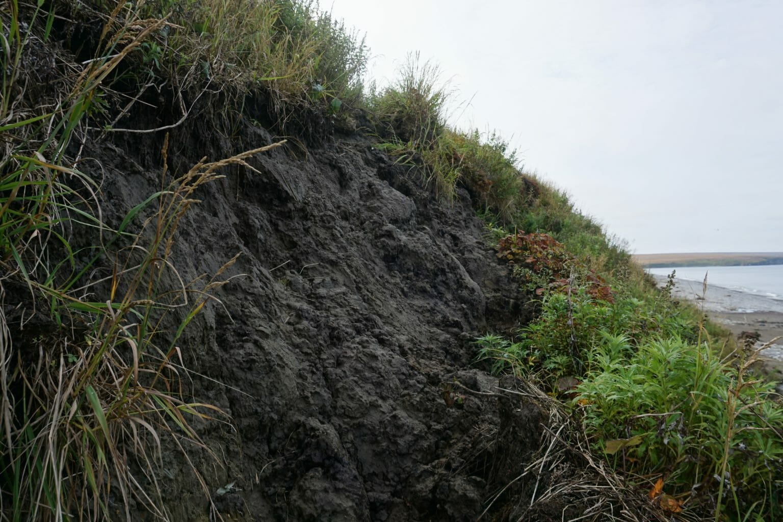 Amid Alaska’s permafrost areas, more soil is staying thawed year-round ...