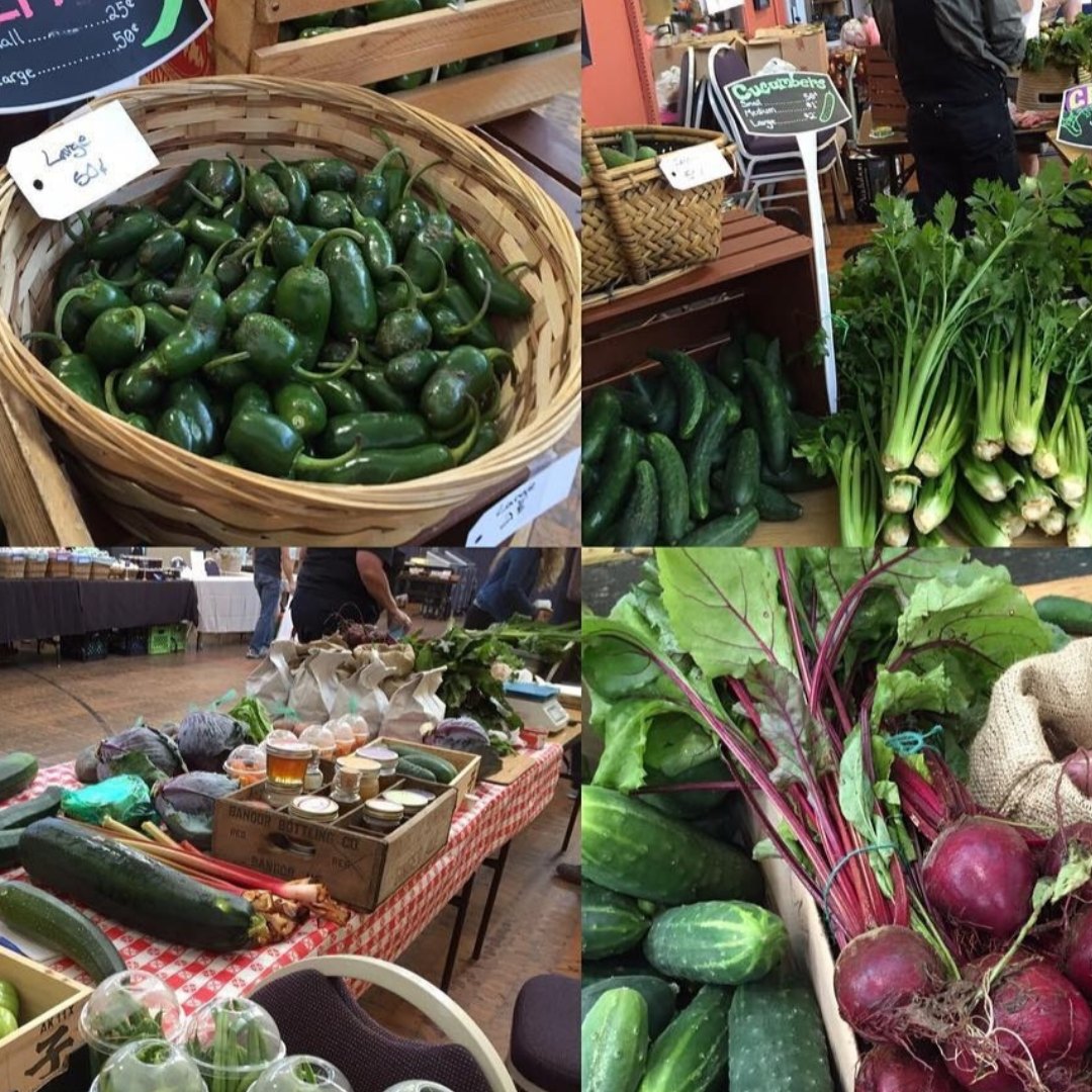 Saturday, August 27th at the JACC: Homegrown Food and Fun.