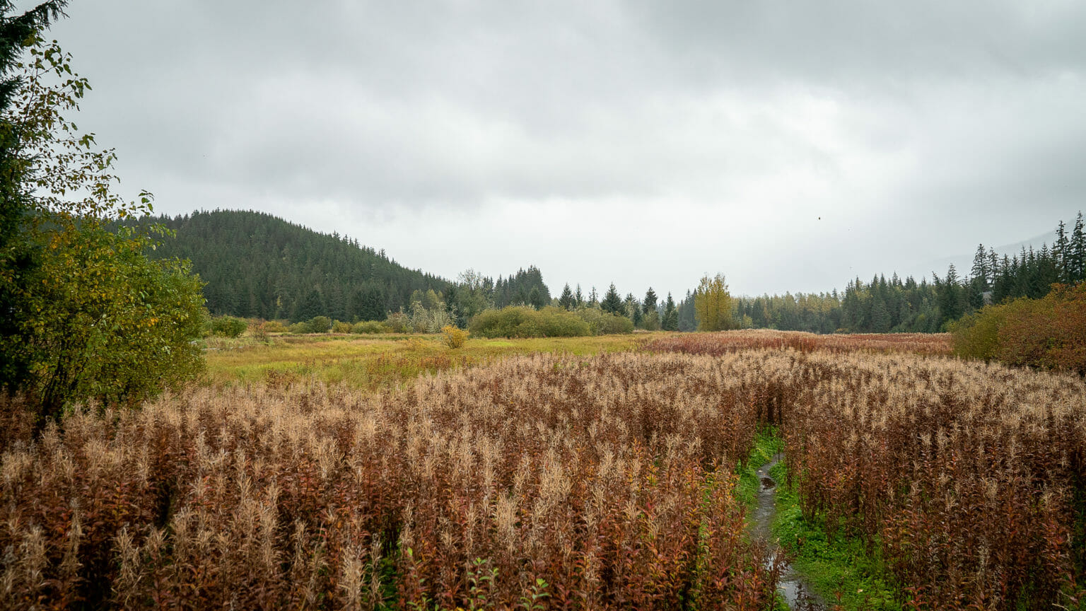 No arrests and few details from police after Juneau woman found dead ...