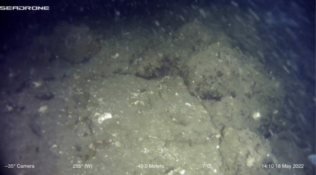 An ancient discovery in Southeast Alaska could help pinpoint how and ...