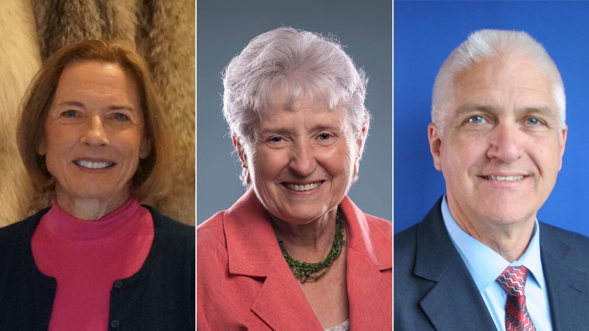 Why partisan hardliners likely won’t fare well under Alaska’s new ...