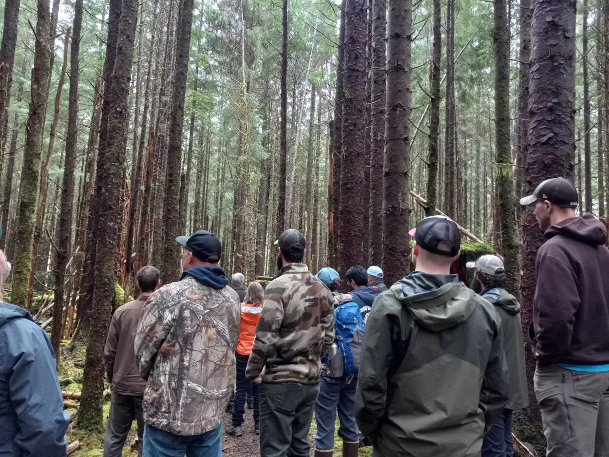 Scientists present theories for deer decline at Prince of Wales Island ...