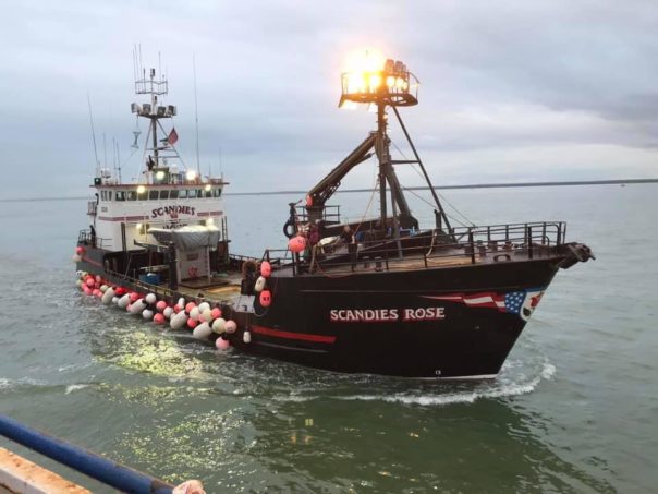 Nearly 3 years after deadly sinking, debris from the Scandies Rose ...