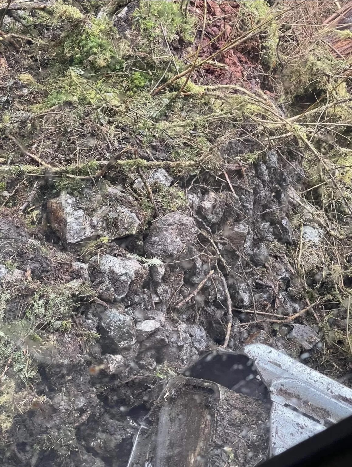 Tribal groups call for halt to logging at 'sacred and culturally ...