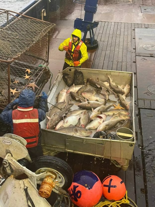 Bering Sea cod fisherman fights for better catch price amid slow ...
