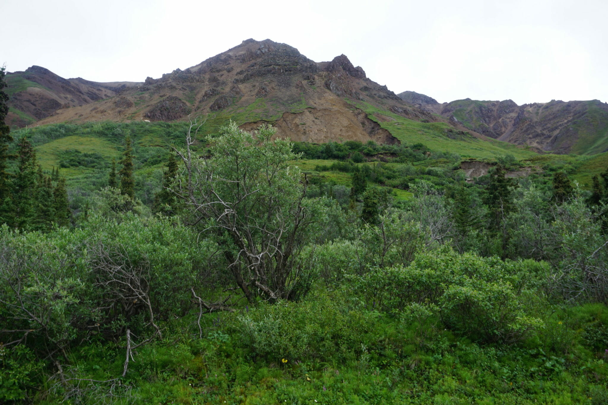 Construction to start on bridge over landslide site in Denali National Park